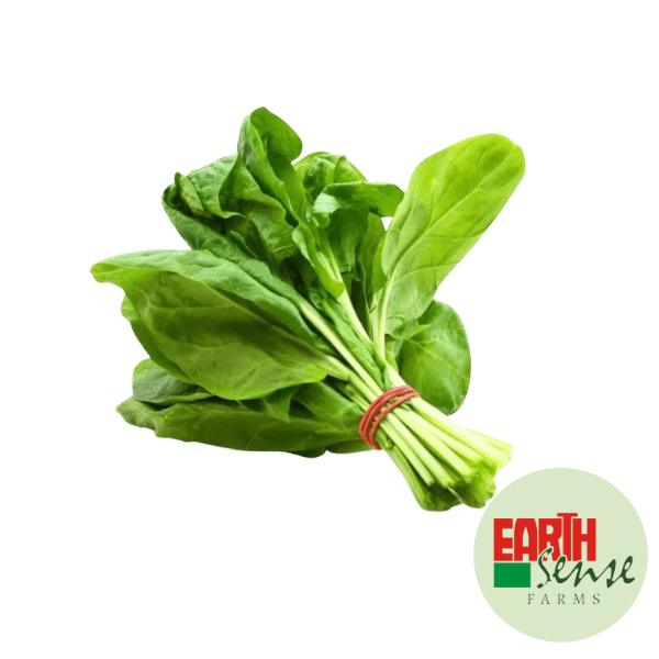 Palak – Earth Sense Farms
